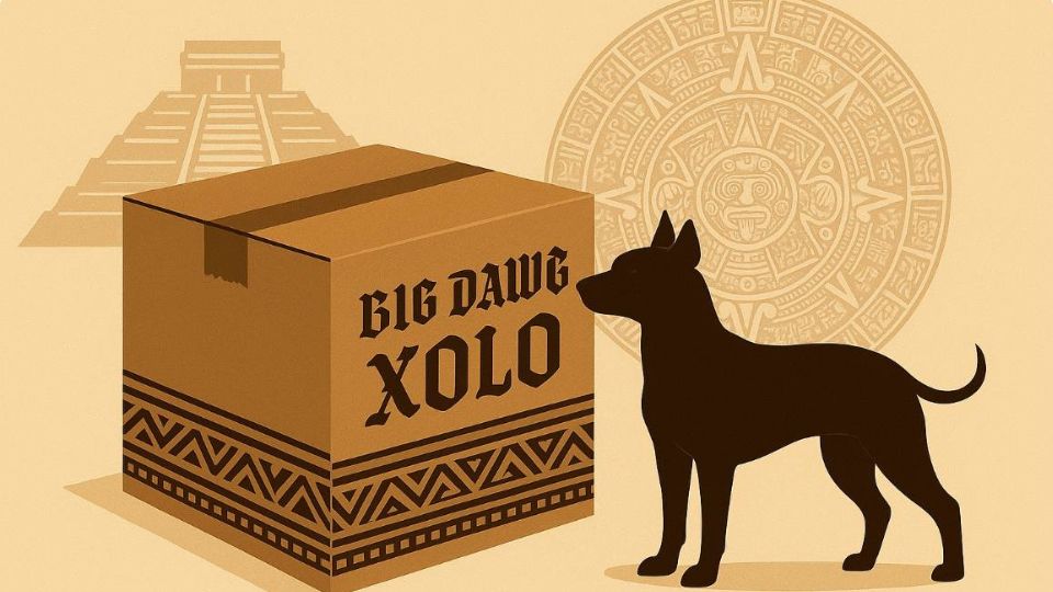 About Us - Big Dawg Xolo | Veteran-Owned Apparel & Challenge Coins